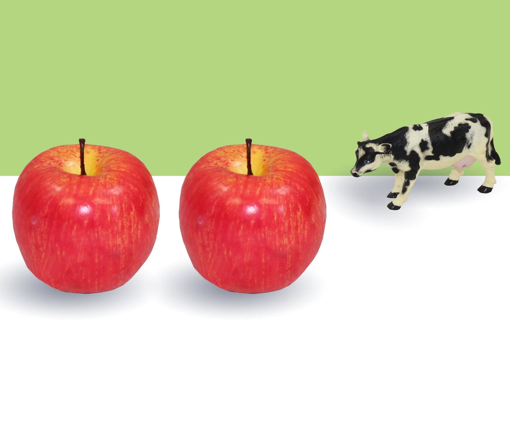 Language Builder 3D - 2D Everyday Objects Matching Kit for ABA & Autism ...