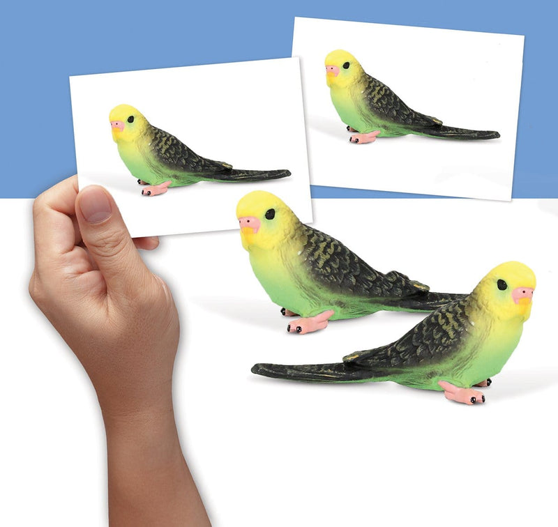 Language Builder 3D - 2D Everyday Objects Matching Kit for ABA & Autism ...