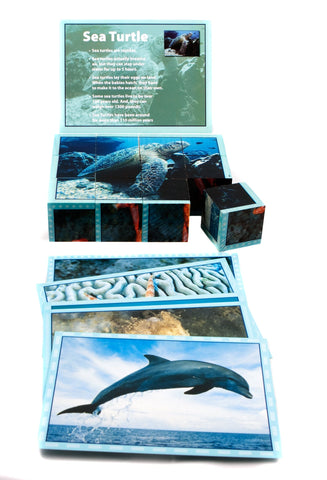 Sea Life Puzzle – Stages Learning Materials