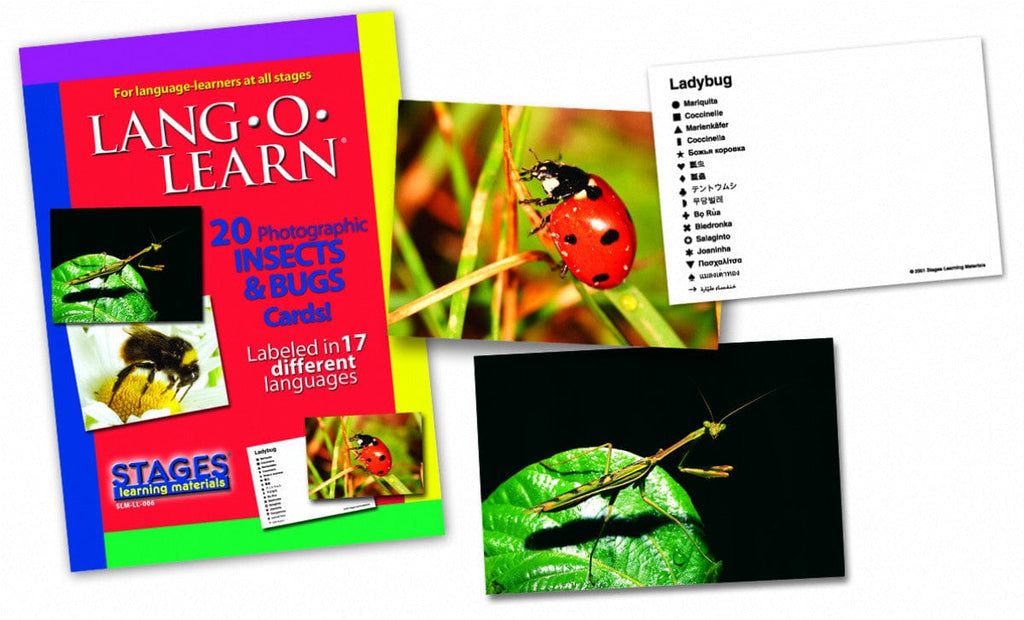 Lang-O-Learn Insects & Bugs Cards – Stages Learning Materials
