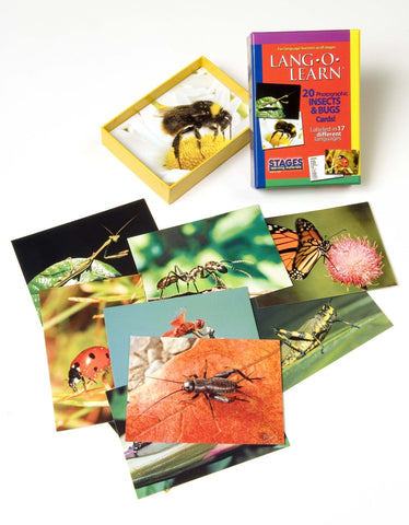 Lang-O-Learn Insects & Bugs Cards – Stages Learning Materials