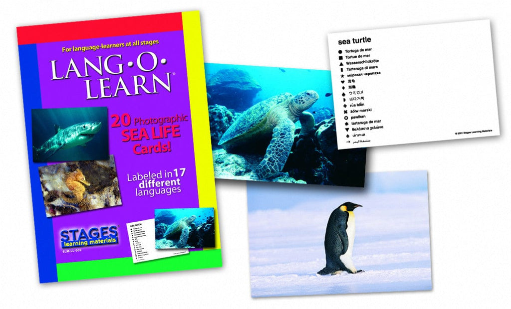 Lang-O-Learn Sea Life Cards – Stages Learning Materials